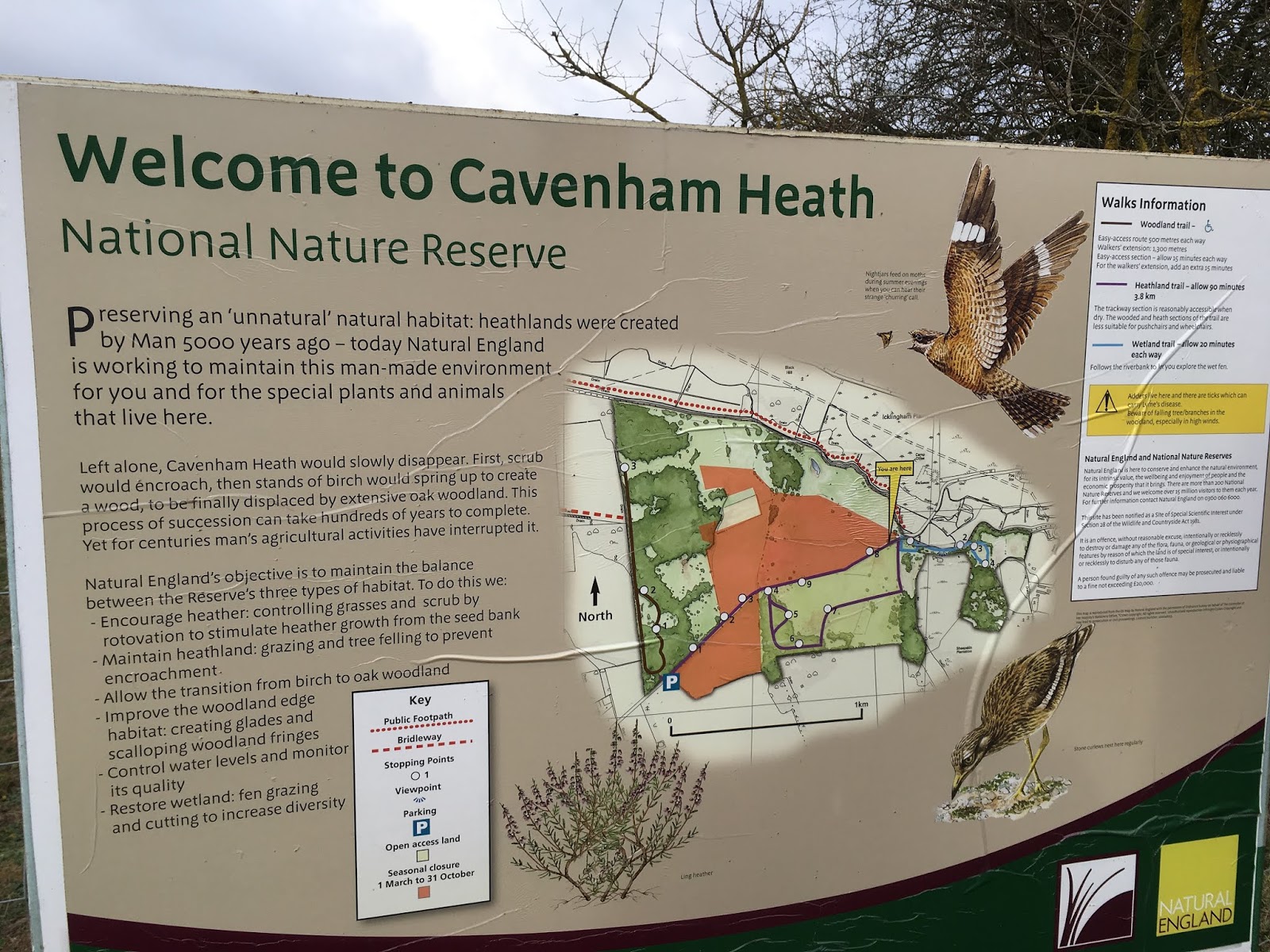 Cavenham Heath – Cavenham Parish
